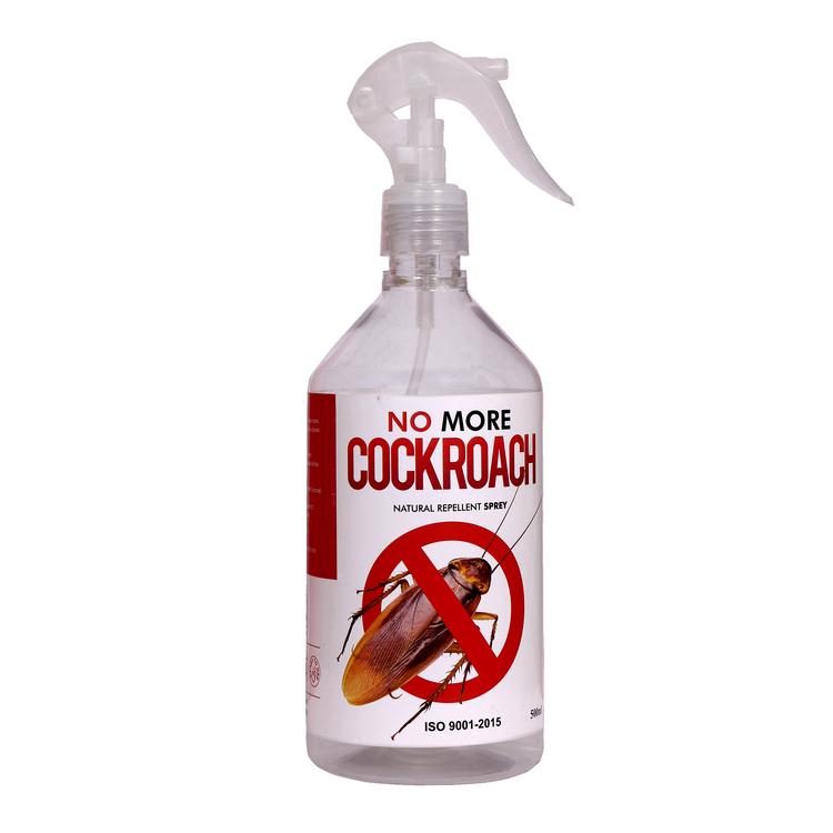 RTS Cockroach Management – Oxygen Pest