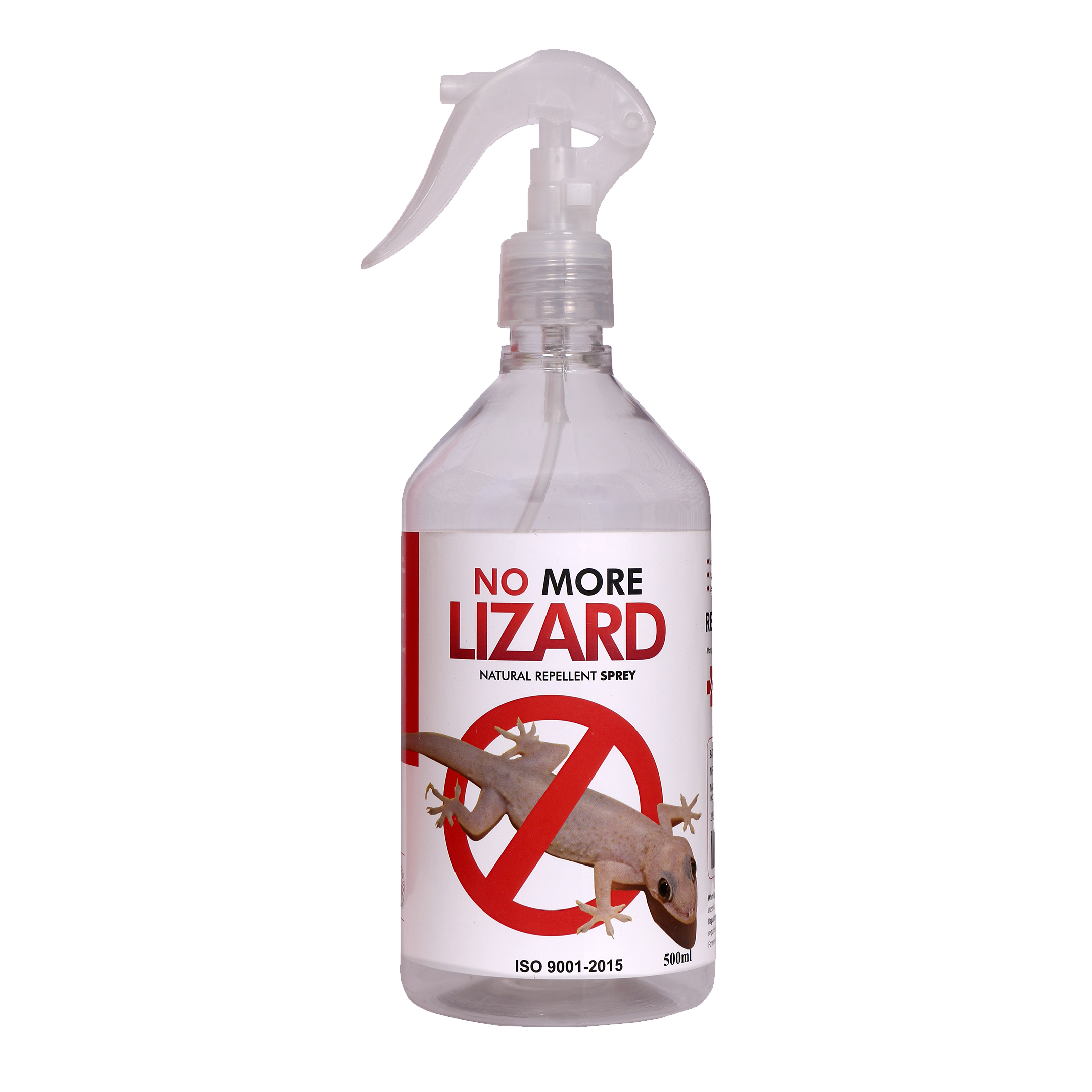 RTS Lizard Management – Oxygen Pest