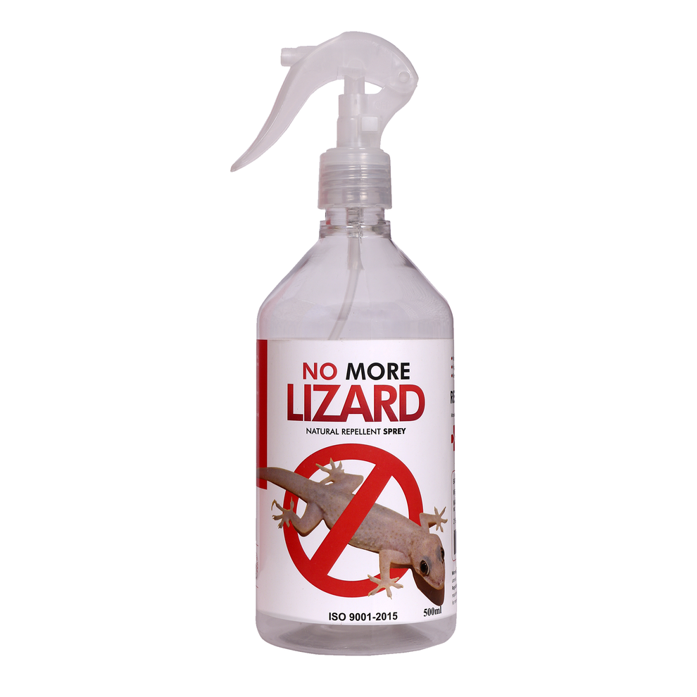 RTS Lizard Management – Oxygen Pest